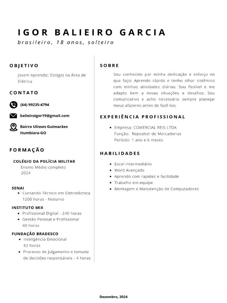 Currículo - Igor Balieiro Garcia - 20241212 - 181426 - 0000 | PDF