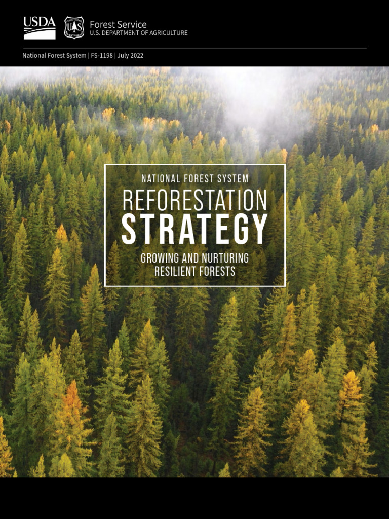 Reforestation Strategy | PDF | Forests | Ecological Resilience