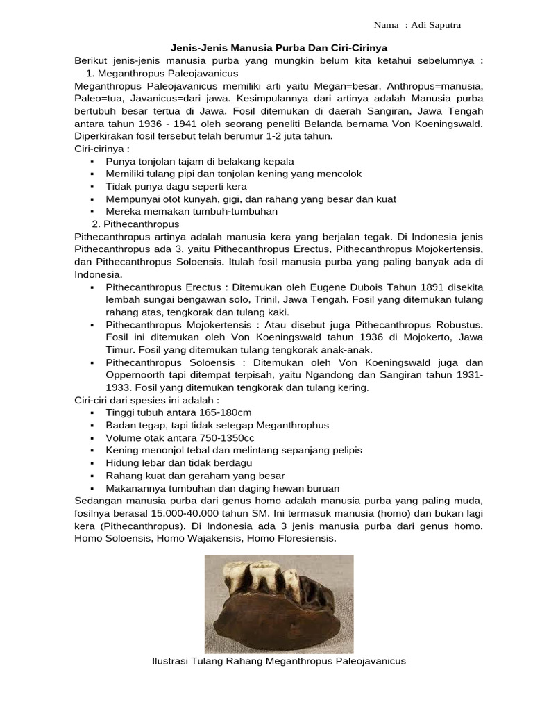 Jenis-Jenis Manusia Purba di Indonesia | PDF
