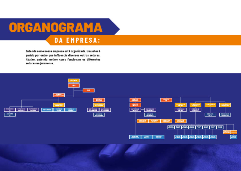 ORGANOGRAMA | PDF