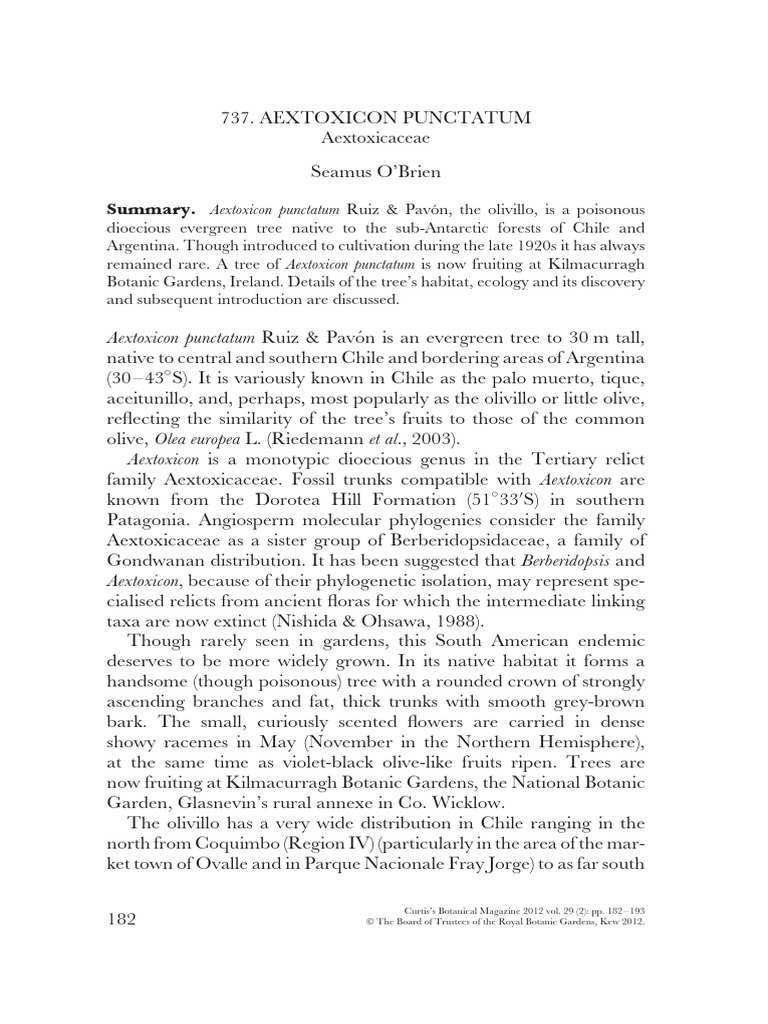 A.punctatum | PDF | Botany | Plants