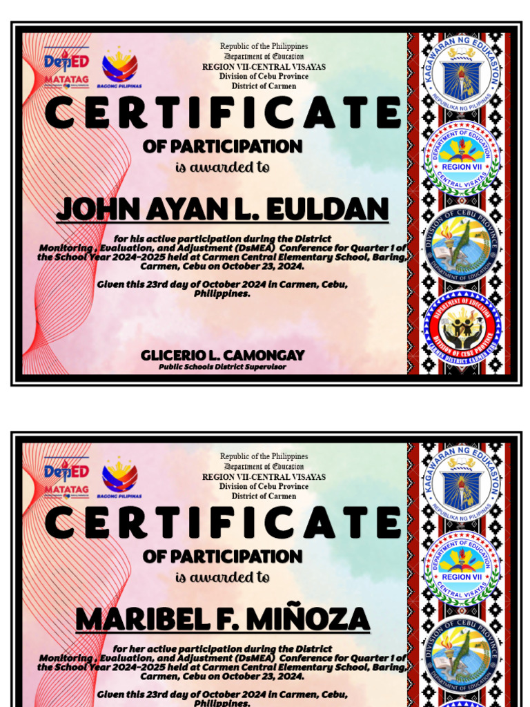 DsMEA Cert of Participation | PDF | Cebu | Public Law