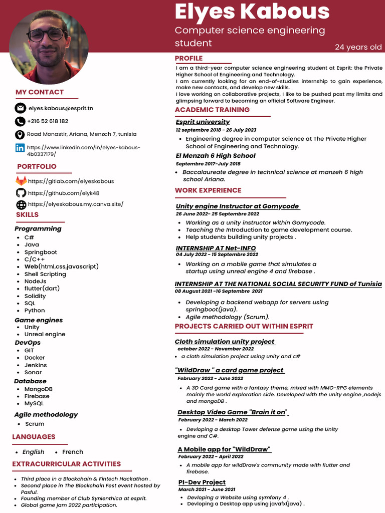 Elyes Kabous_Resume-2 | PDF | Websites | Information Technology