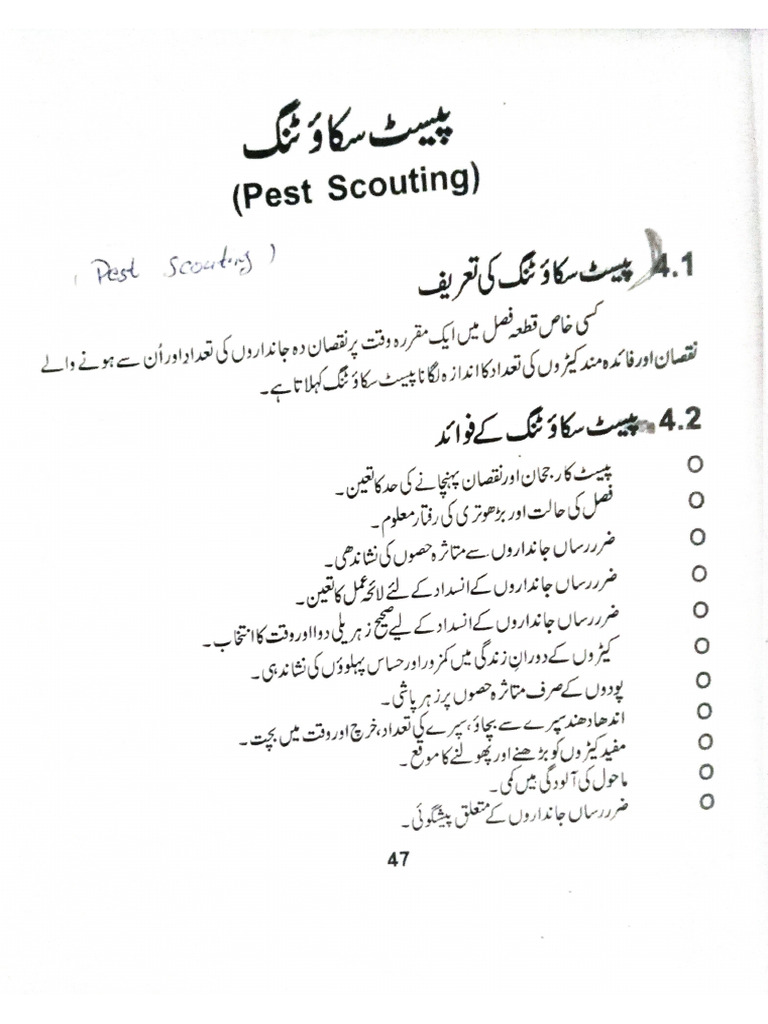 Entomology Book | PDF