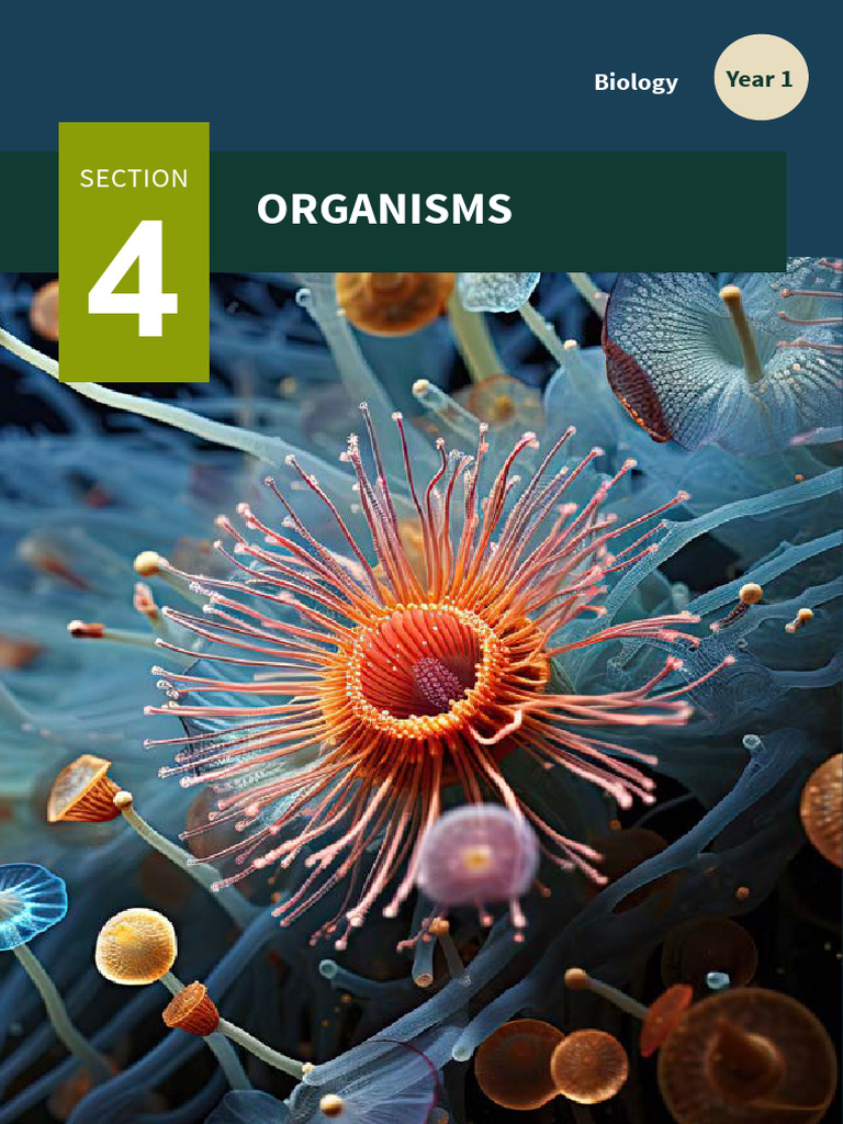 Understanding Biological Keys in Classification | PDF | Taxonomy ...