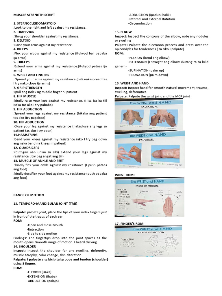 MUSCULO SCRIPT | PDF | Anatomical Terms Of Motion | Arm