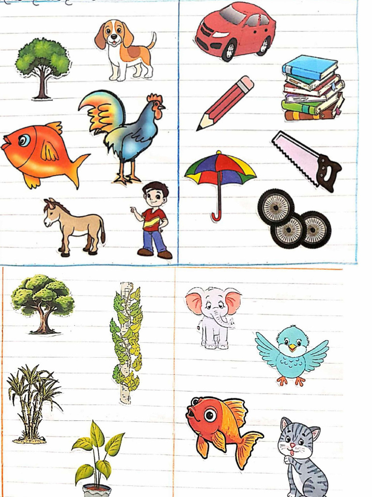 WA0143. (4) - Page | PDF