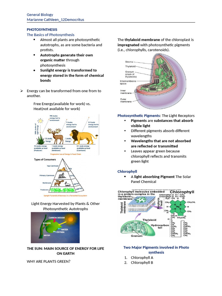 genbio.2 | PDF | Photosynthesis | Adenosine Triphosphate
