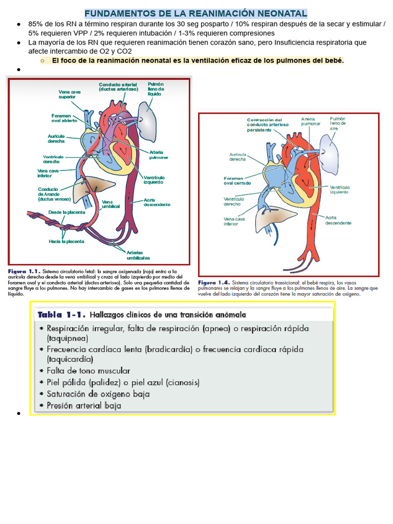 RENEO | PDF | Reanimación cardiopulmonar | Medicina CLINICA