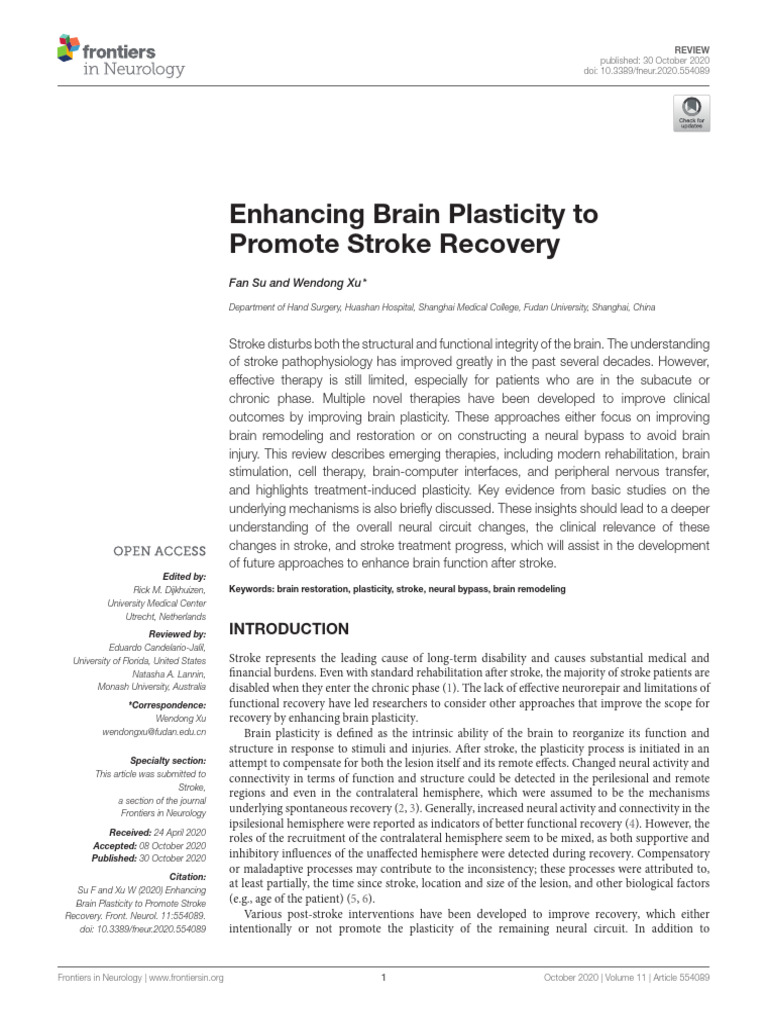 Enhancing Brain Plasticity To Promote Stroke Recovery | PDF ...