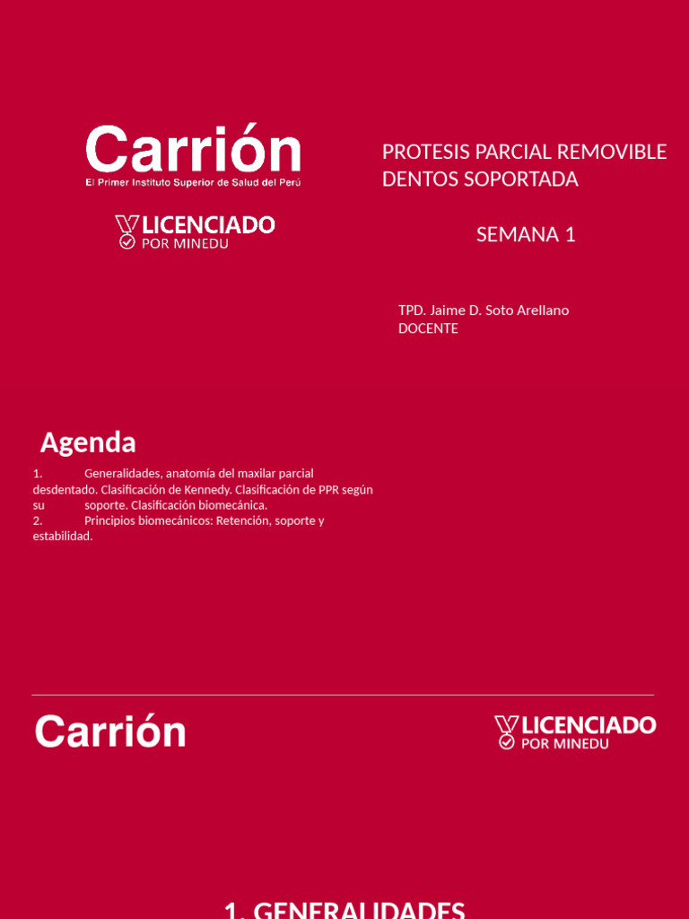 Sem. 1 Generalidades de PPR | PDF