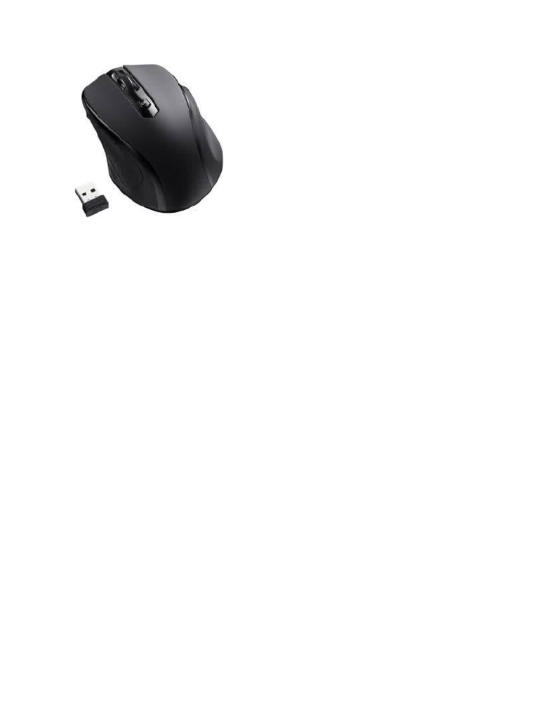 Mouse | PDF