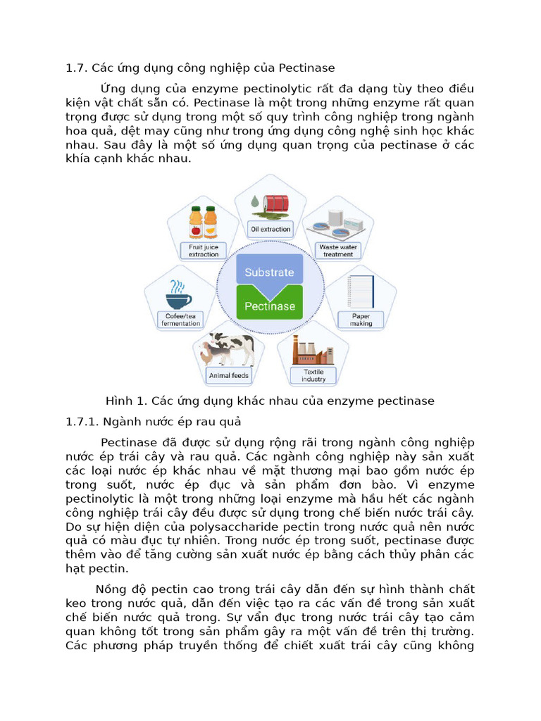 NG D Ng-Tình Hình Nghiên C U Trong Và Ngoài Nư C | PDF