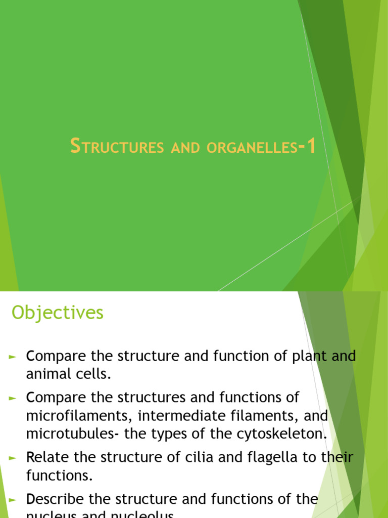 cell structure-part 1.pptx | PDF | Cell (Biology) | Cytoskeleton