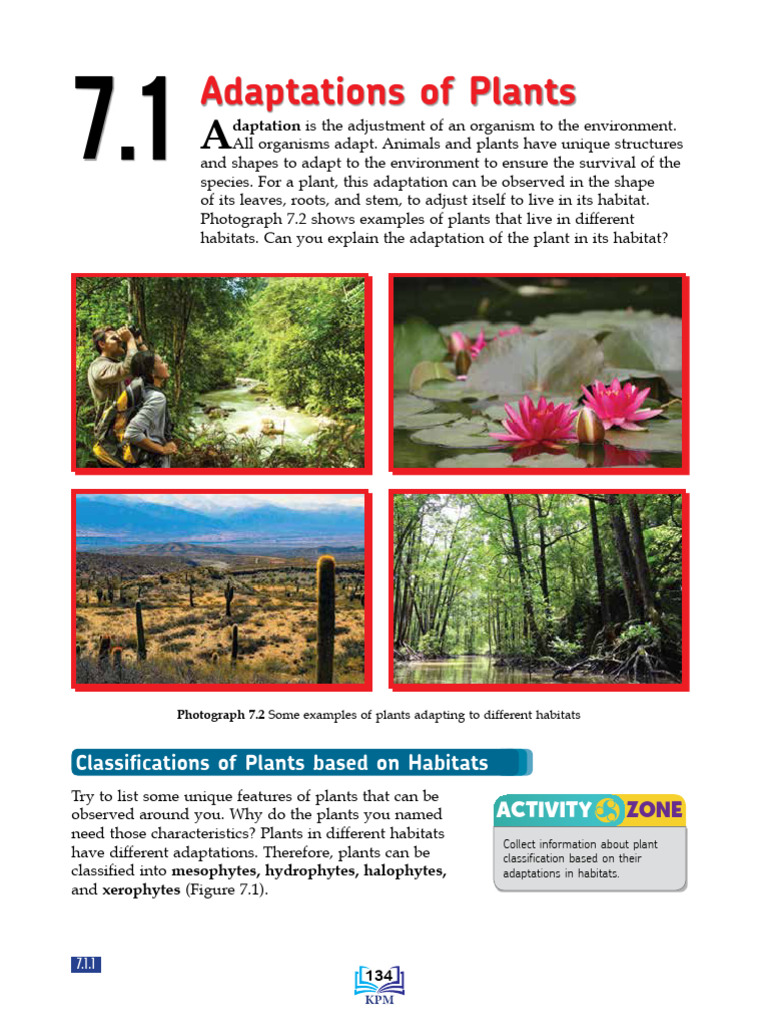 Biology Form 5 KSSM - Removed | PDF | Leaf | Taxonomy (Biology)