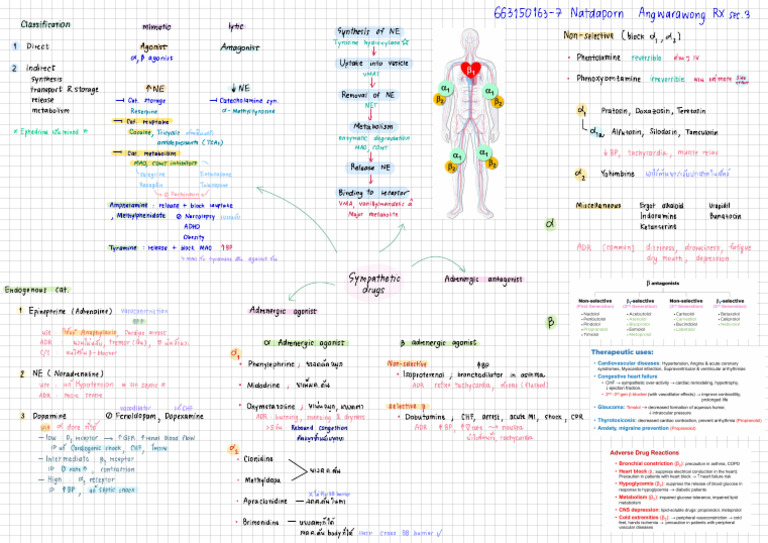 Mind map Sym | PDF | Drugs Acting On The Nervous System | Neurochemistry