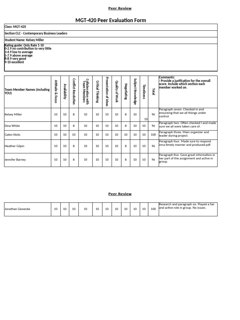 MGT-420 Peer Evaluation Summary | PDF