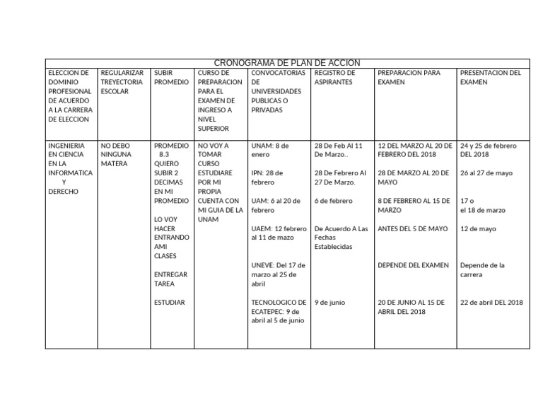 Cronograma De Plan De Accion Pdf