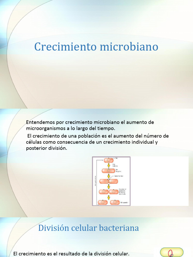 Crecimiento Microbiano y Factores | PDF | Unidad de formación de Colonia | Las bacterias
