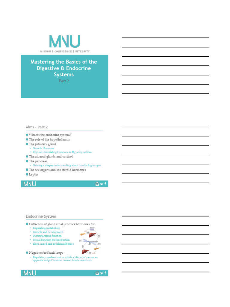 2.1 - Mastering The Basics of The Digestive Endocrine Systems Part 2 ...