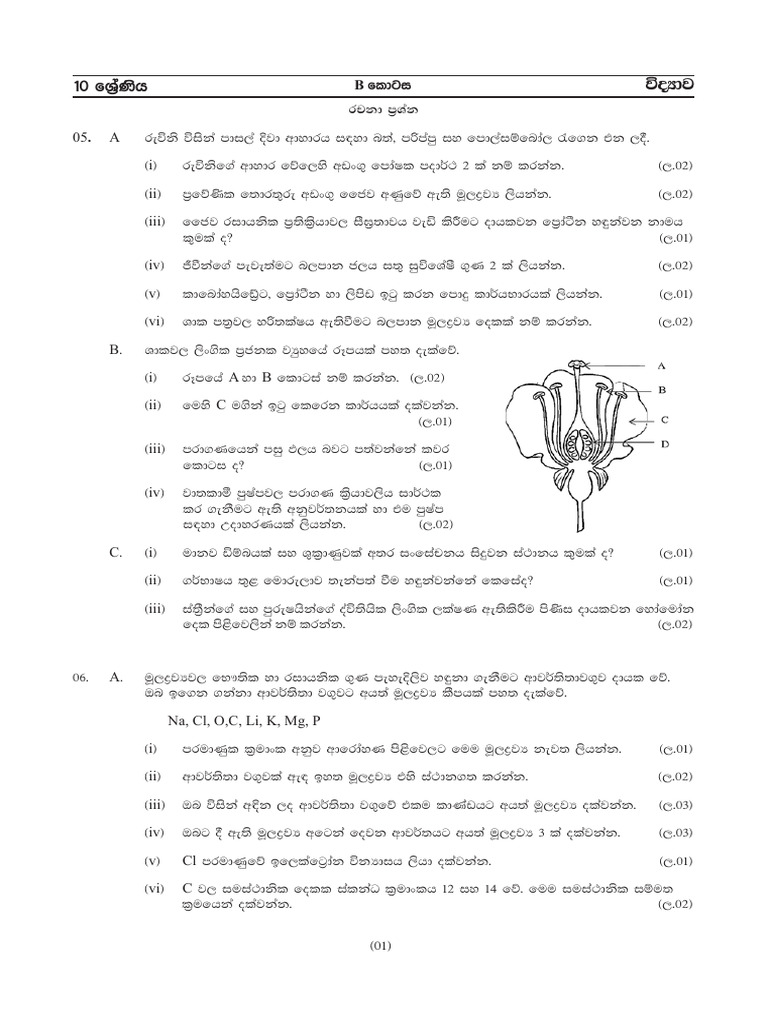 Grade 10 Papper Class | PDF