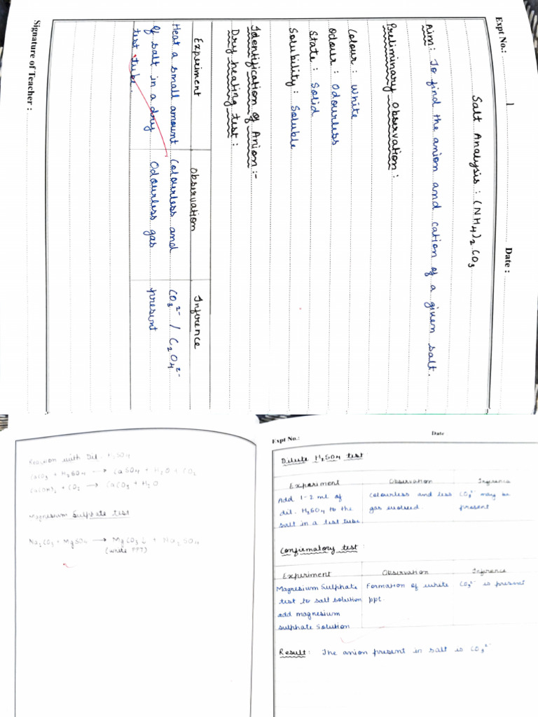 Chem Lab Record | PDF