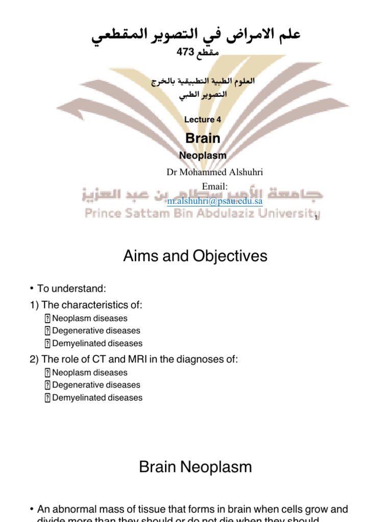 Lecture4 Brain 1 | PDF