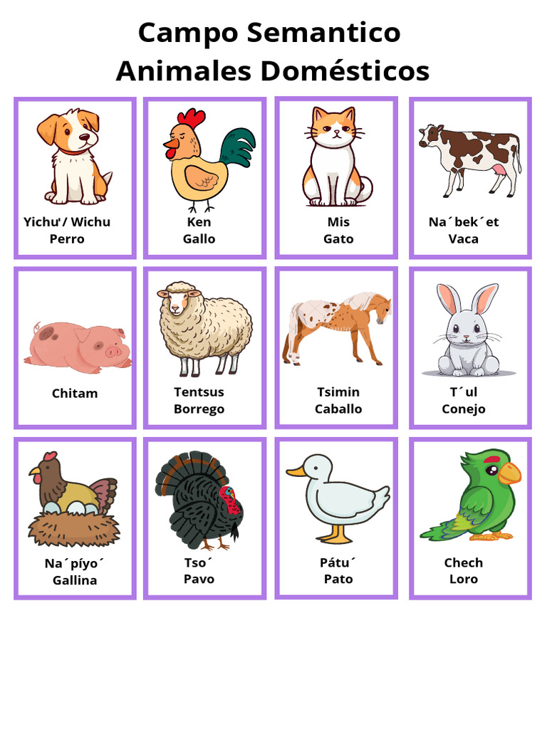 Campo Semántico De Animales Domésticos Pdf