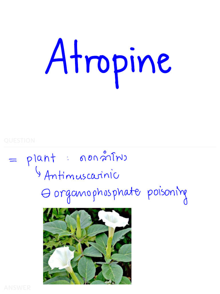 315 Source of Drug Flashcard | PDF | Aspirin | Clinical Medicine