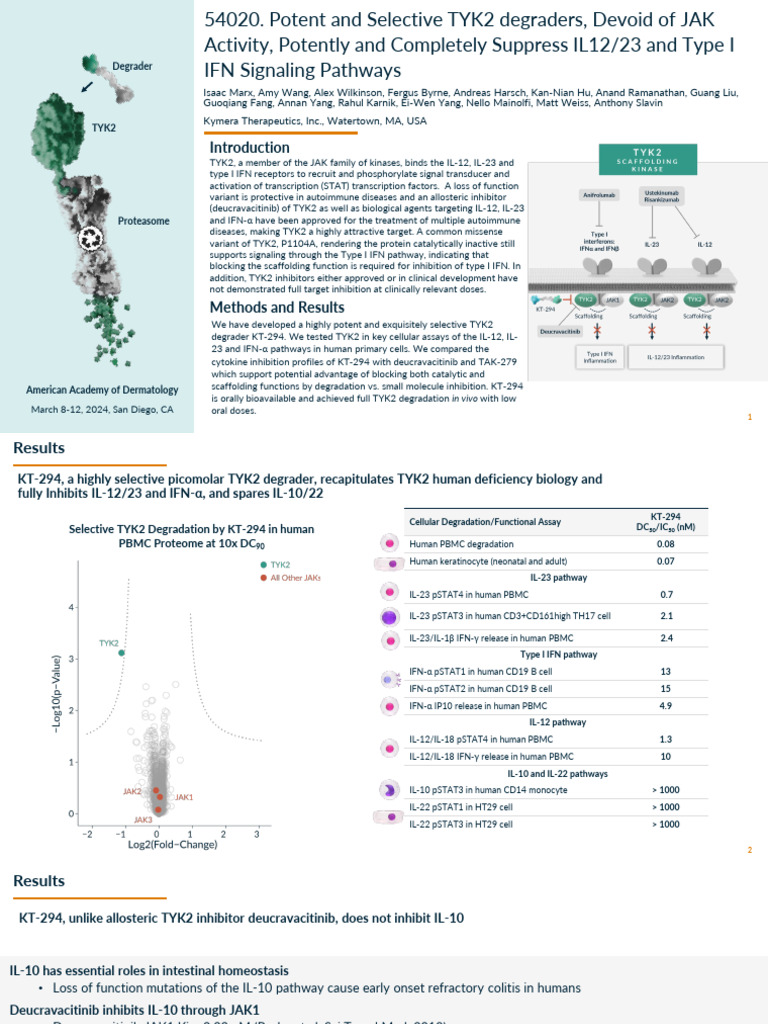 Kymera AAD 2024 Poster TYK2 | PDF | Interleukin 10 | Interleukin 12