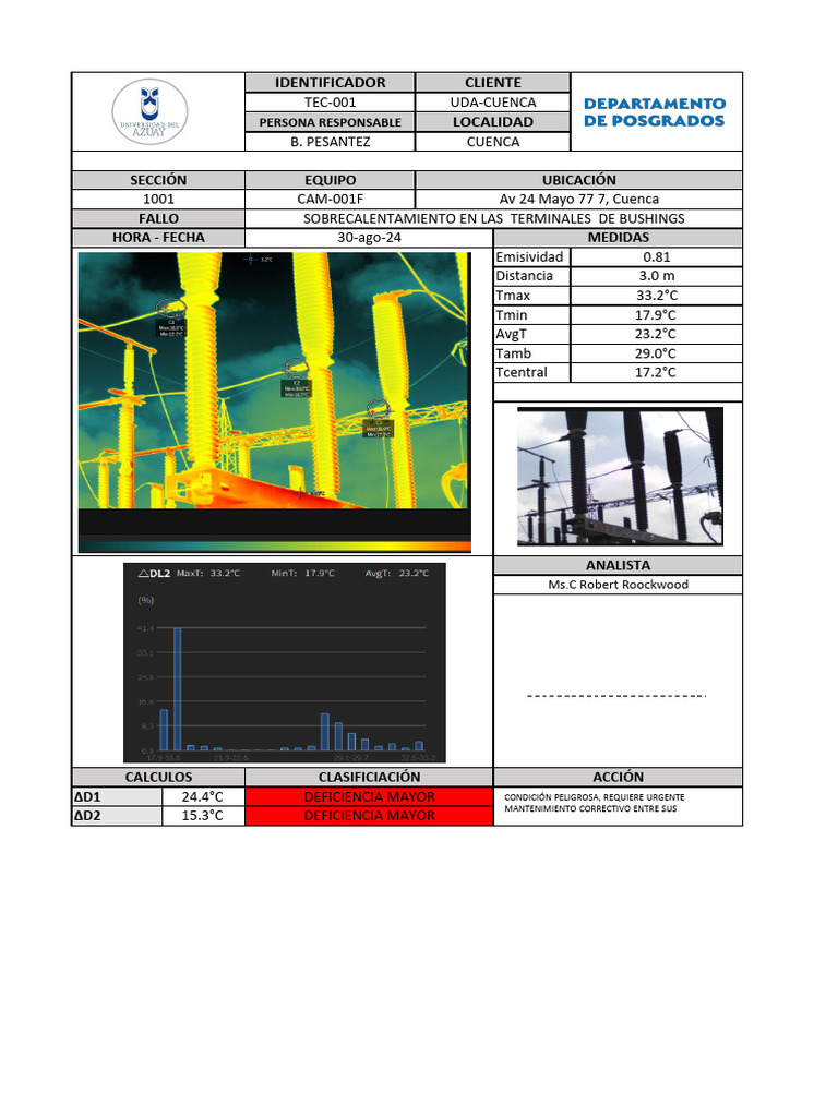 Formato Termograf | PDF