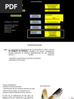 Aves Clasificacion y Plumas | PDF | Pluma | Ornitología