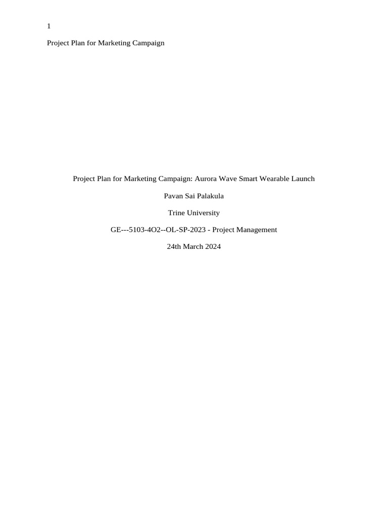 Project Plan For Marketing Campaign | PDF | Supply Chain | Marketing