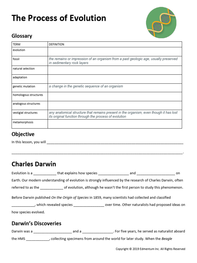 608482-Guided Notes - The Process of Evolution | PDF | Evolution | Genetics