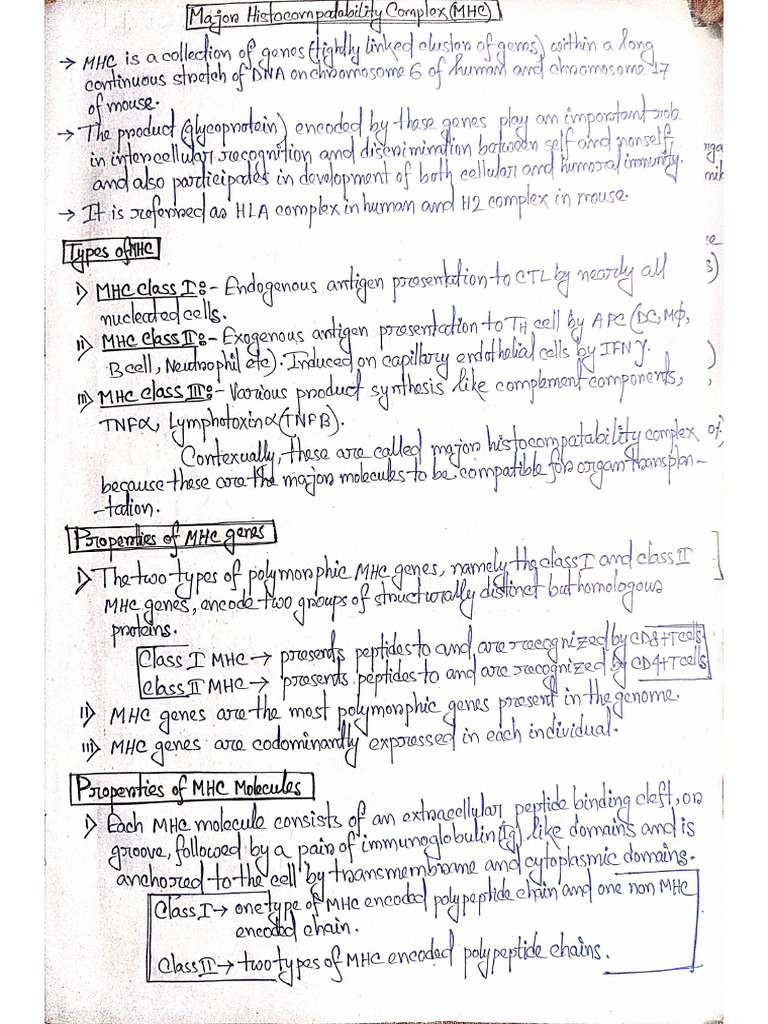MHC | PDF
