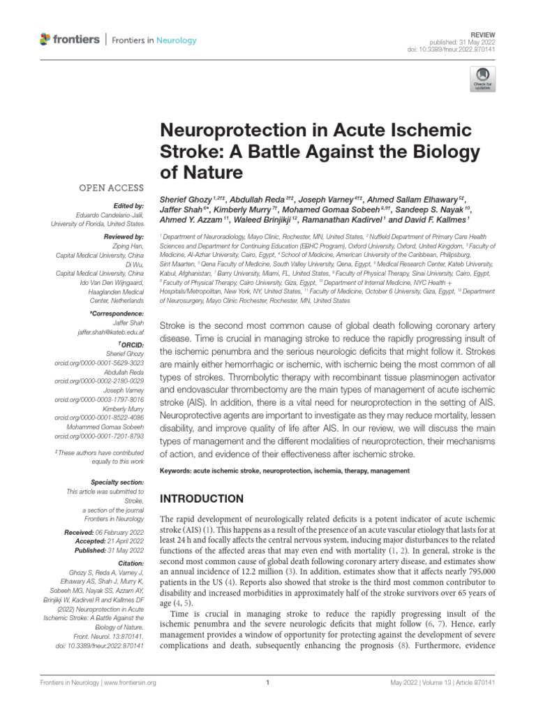Neuro Protection | PDF | Stroke | Ischemia