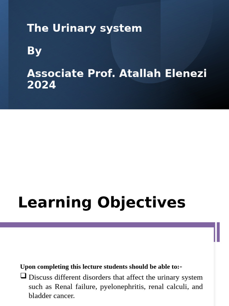 Lecture (10) The Urinary System | PDF | Kidney | Chronic Kidney Disease