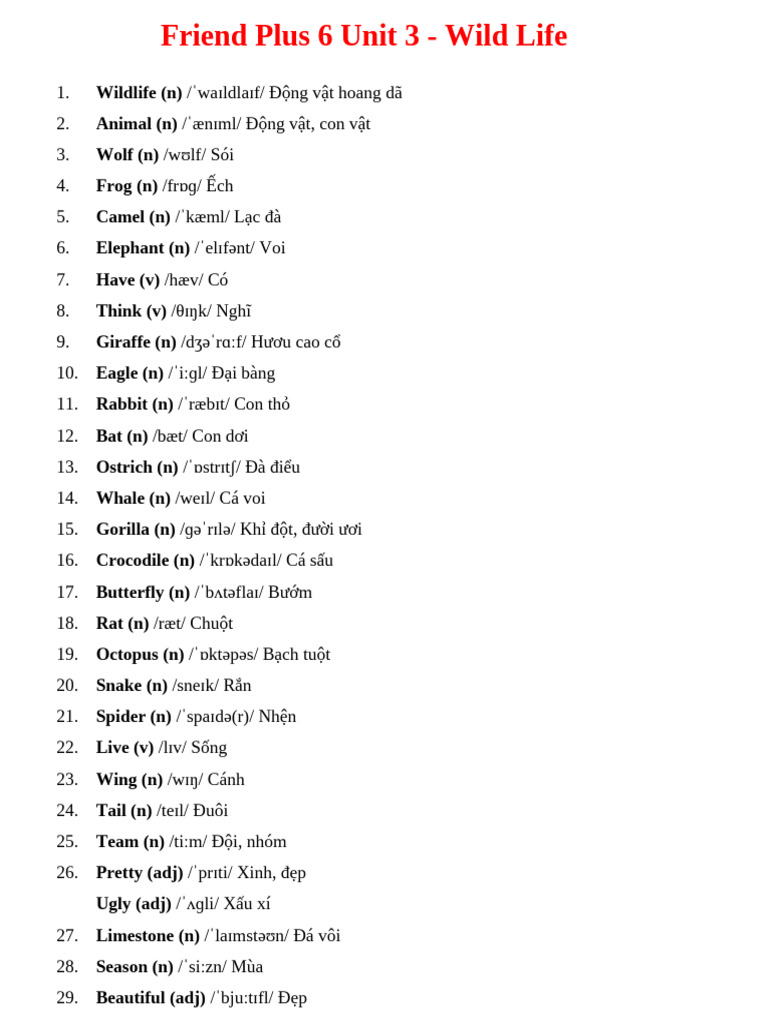 Vocabulary FP6 Unit 3 | PDF