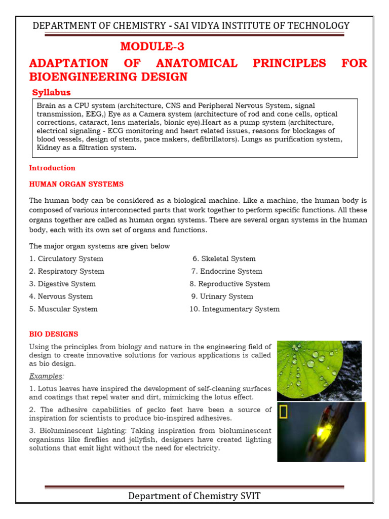 Bioengineering Design Principles | PDF | Respiratory Tract | Kidney