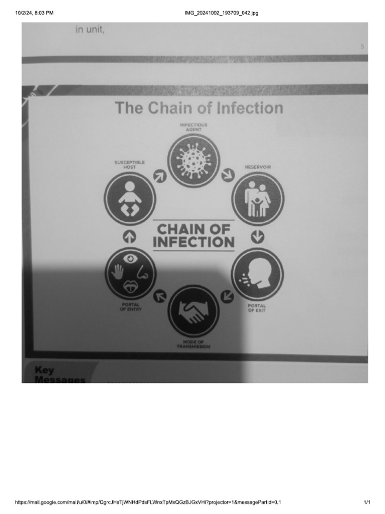 Chain of Infection | PDF