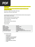 Year 8 Breathing and Respiration Guide | PDF | Respiratory System ...
