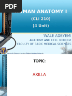 The Axilla Region - Borders - Contents - TeachMeAnatomy | PDF | Arm ...