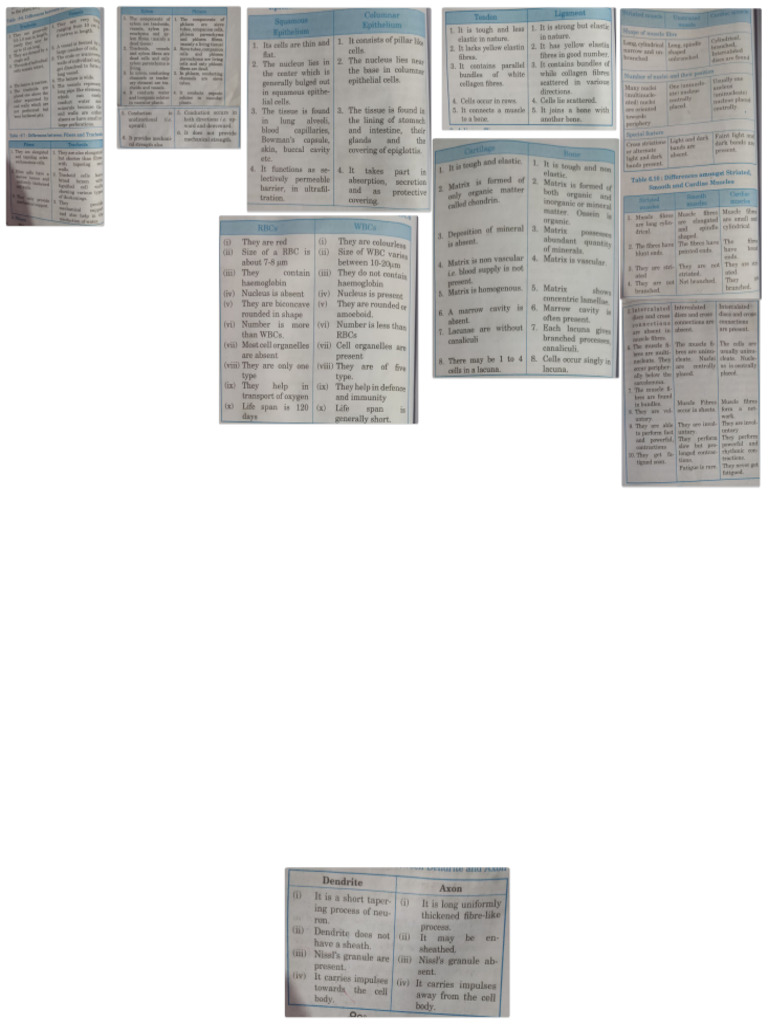 Tissue notes 2 | PDF