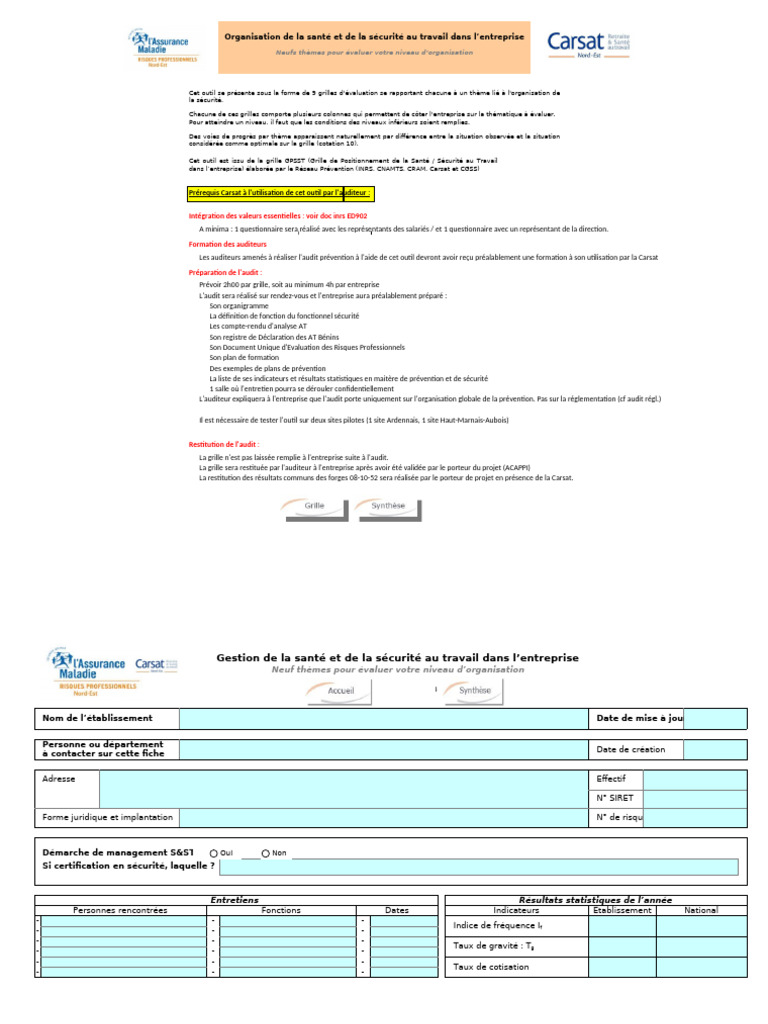 Grille Diagnostic 9 Themes | PDF | Sécurité | Santé et sécurité au travail