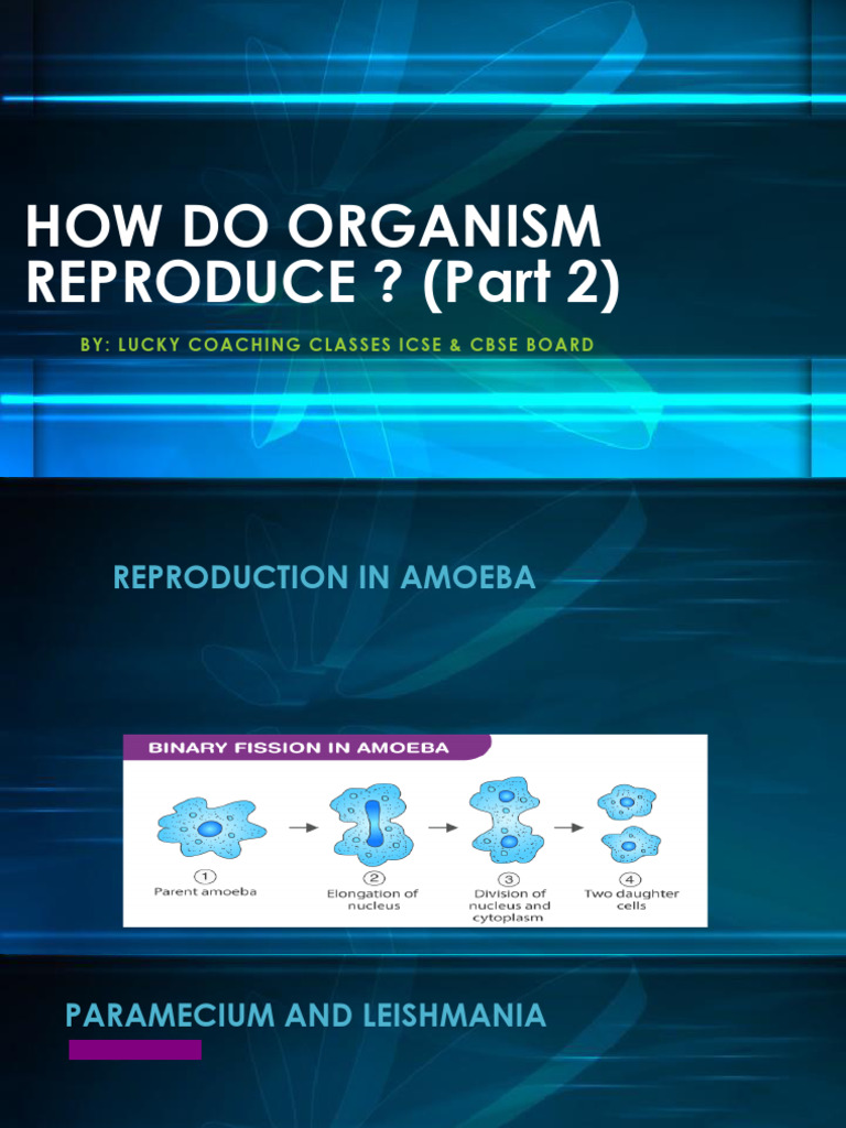 HOW DO ORGANISM REPRODUCE part 2 | PDF | Biological Interactions ...