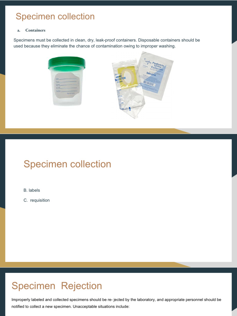 2 Urine Collection | PDF
