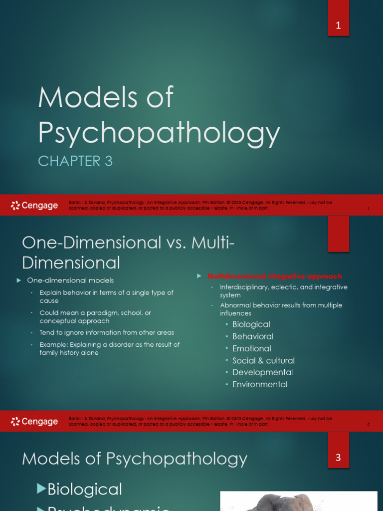 Integrative Models of Psychopathology | PDF | Psychoanalysis | Psychology