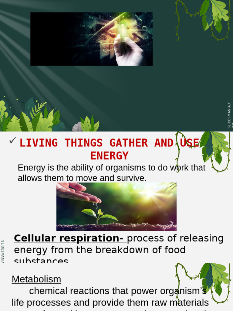 Something Can Help | PDF