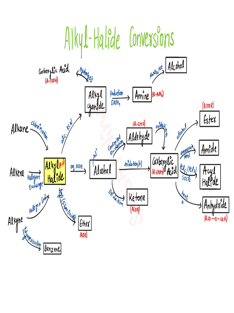 Alkyl Halide Conversions | PDF