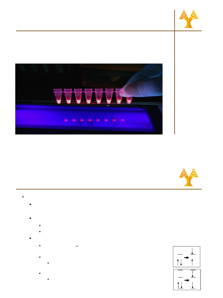 Fluorescence Spectroscopy Notes | PDF | Fluorescence | Emission Spectrum